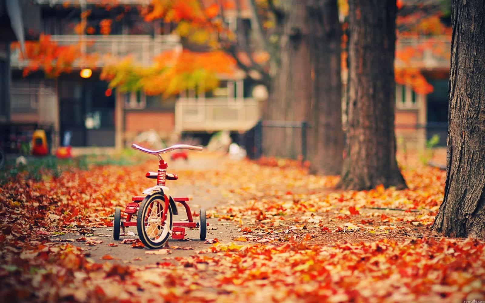 Prepare Your Garden For The Cold Season Protect The Garden Furniture
